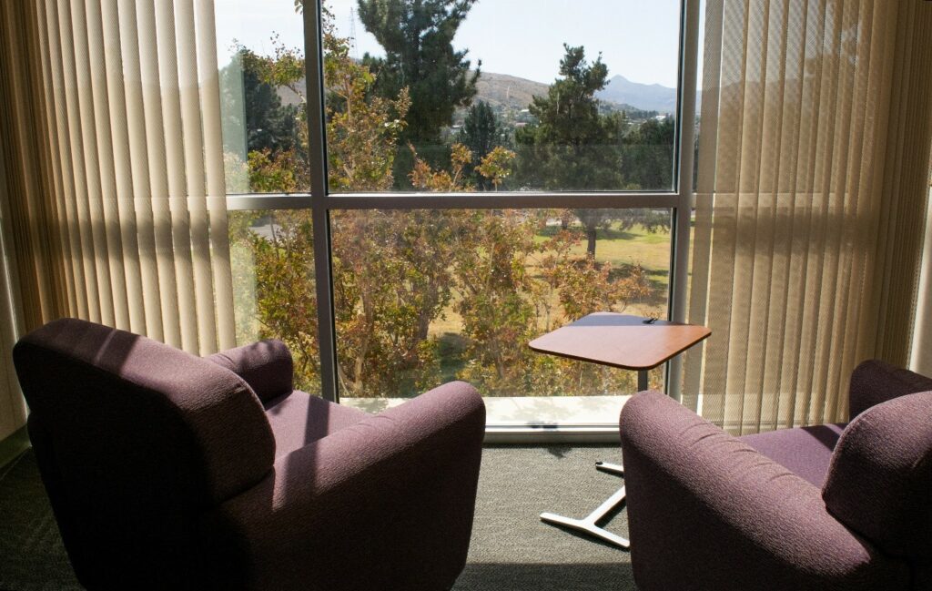 Curl Up and Read a Good Book - SUL ROSS