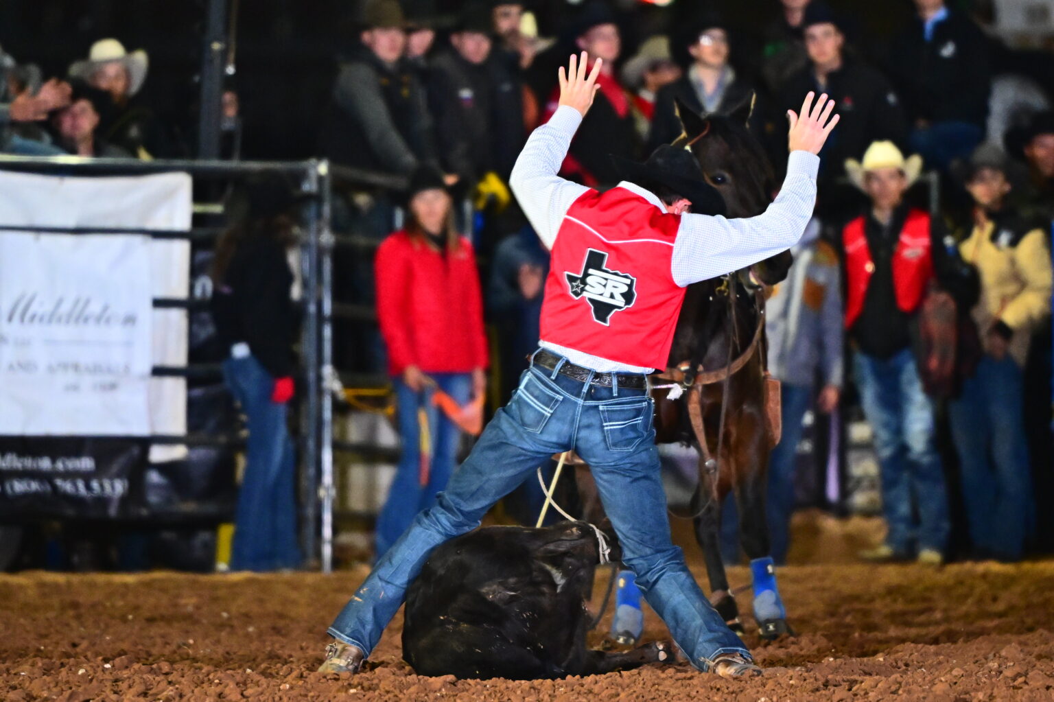 Rodeo - SUL ROSS