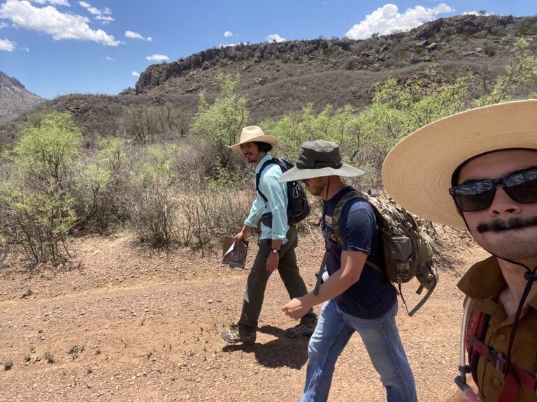 Geology - SUL ROSS